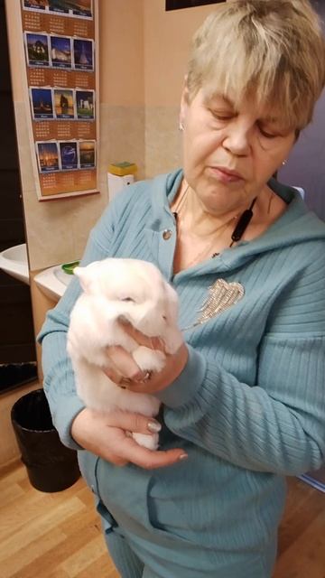 Рубрика «МОЁ ТЕАТРАЛЬНОЕ ЗАКУЛИСЬЕ №43» Кролик. Играем детские спектакли в театре 30.12.2025 года