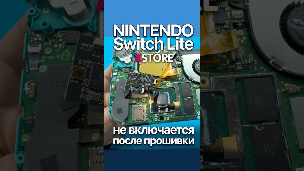 Клиент сам прошил Switch Lite — и превратил в кирпич #xstore