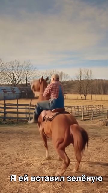 Про упрямую лошадь