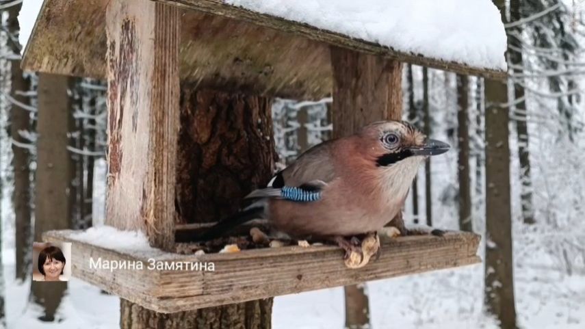 Экотерапия 72 серия.