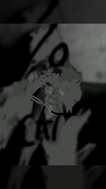 No cat (ultra srowed)