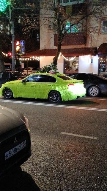 Краснодар. Авто с мехом.