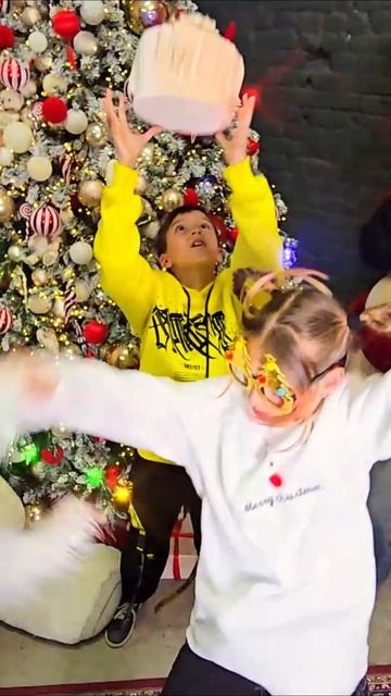 Новый год от Мега Каролины