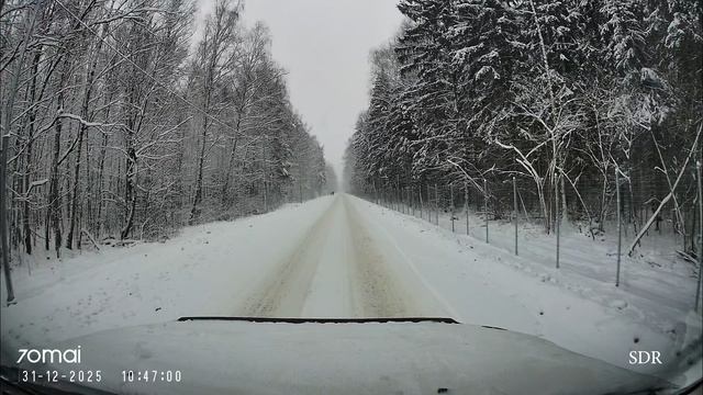 Новый въезд в Королёв. Лесная красота в новый год. 31.12.2025 4к