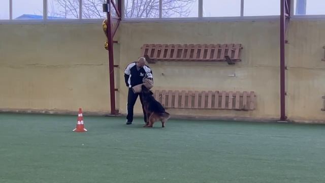 3 Отл. Black Magic Of The Sun DEMYAN Лучшая защита! №33. БРОННИЦЫ 20 декабря`25 Моно