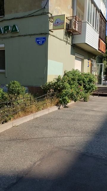 №570	ул. Белинского. 15 августа 2025 г., 15:42:01 VID_20250815_154151915