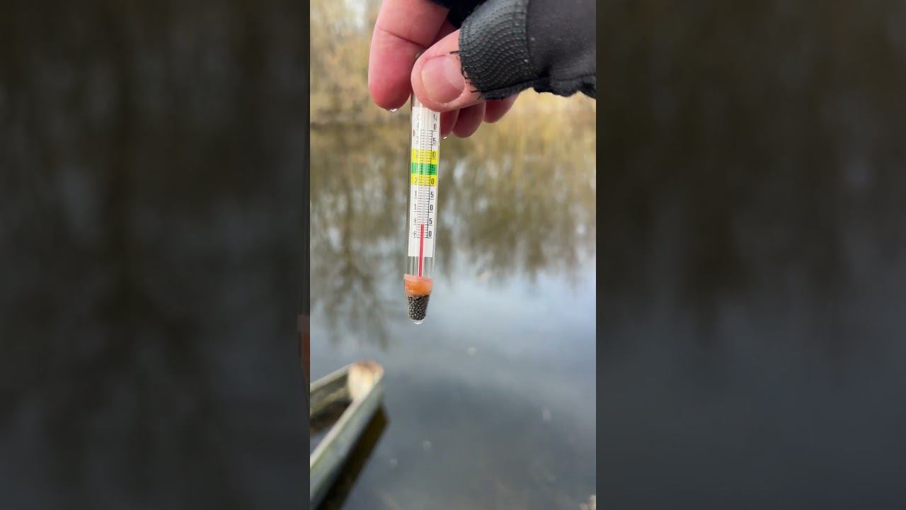 02.03.2024 температура воды на маточнике.