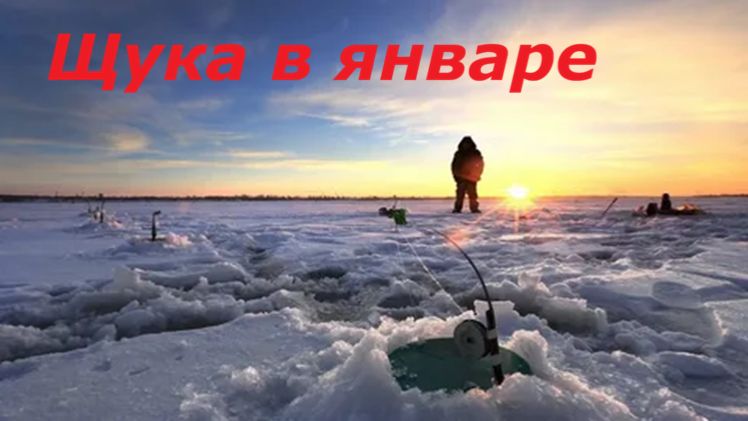 КАК ЛОВИТЬ ЩУКУ в ЯНВАРЕ? МЕСТА и ВРЕМЯ для ЛОВЛИ ЩУКИ! СНАСТИ для РЫБАЛКИ ЗИМОЙ