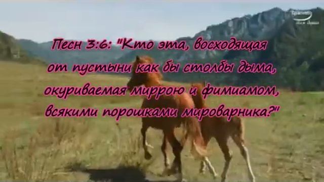 3 Песня песней третья глава