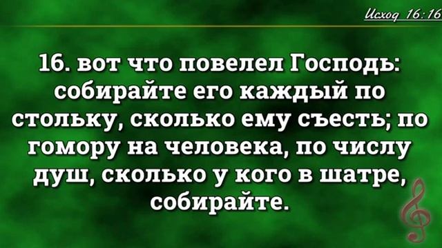 16 ГЛАВА КНИГИ ИСХОД