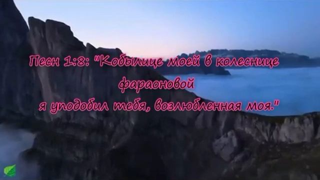 1 Песня песней Первая глава