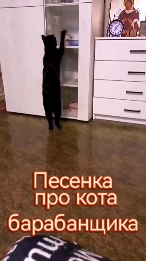 Песенка про кота барабанщика