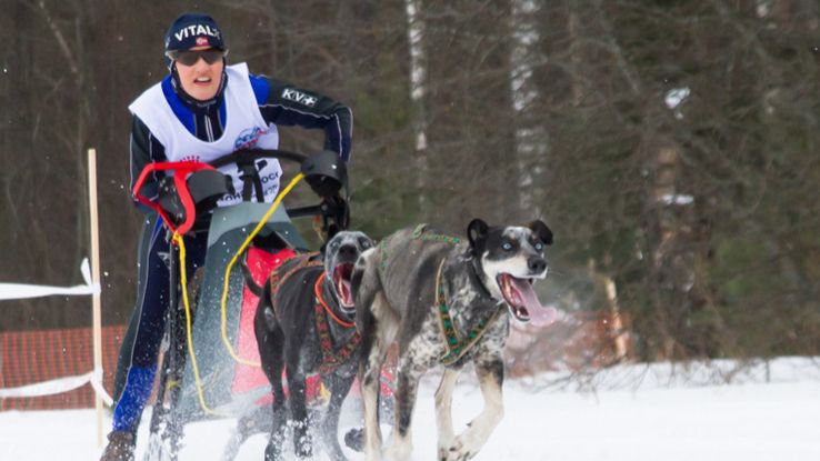 2017 год. Февраль. Чемпионат России.