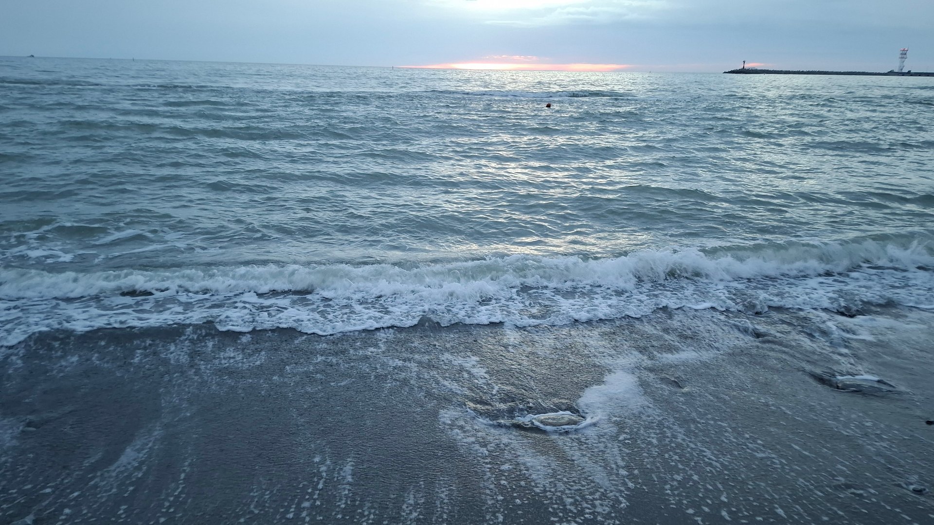 Сочи в декабре. Чёрное море.Пятый день.