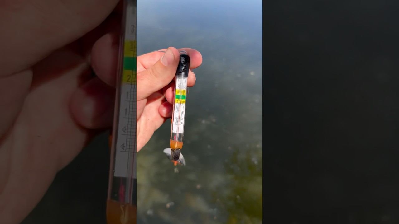 23.06.2024 температура воды в реке Понура.