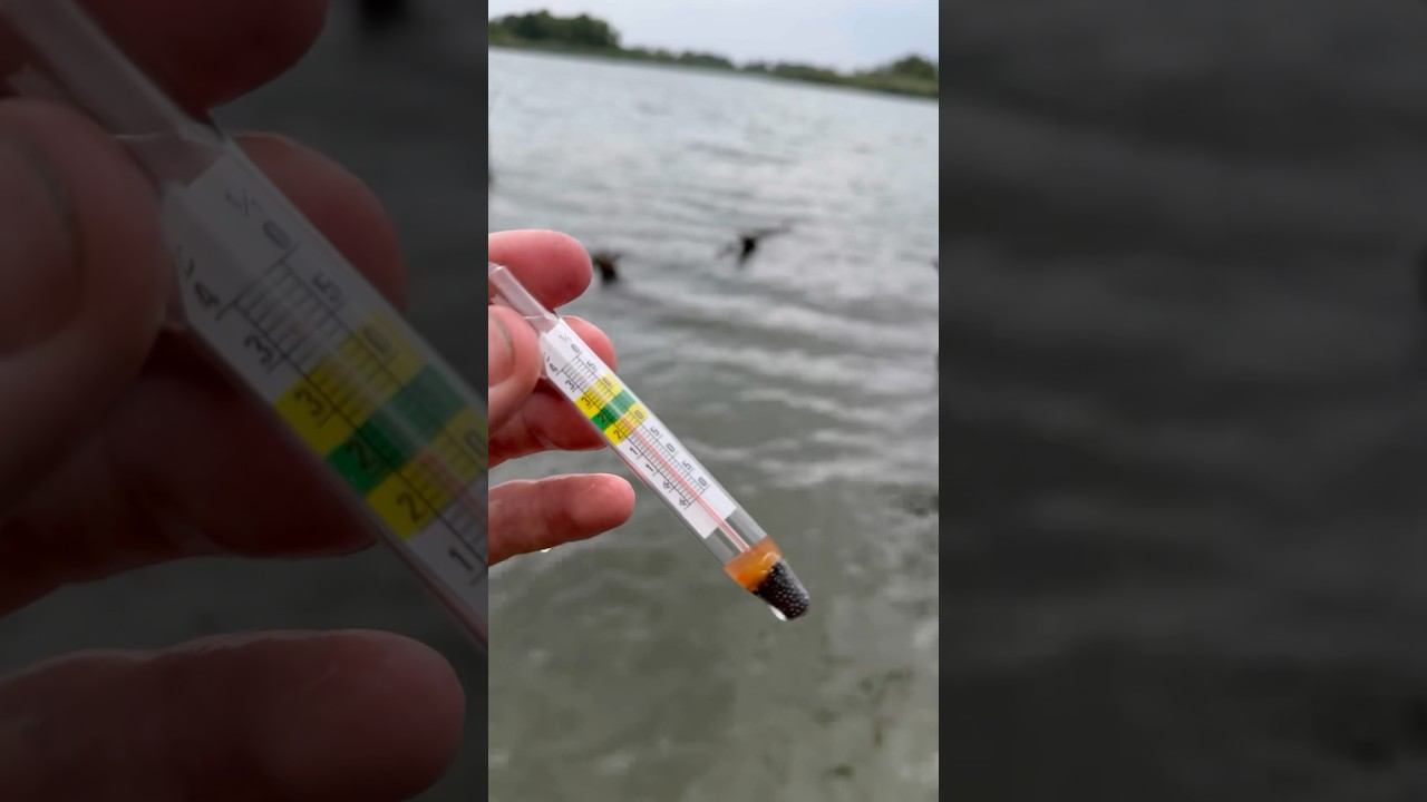 31.08.2024 температура воды в реке Понура.