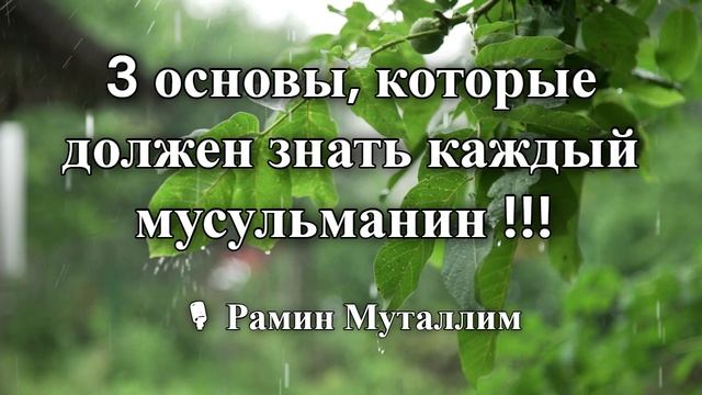 3 основы, которые должен знать каждый мусульманин !!!🎙 Рамин Муталлим