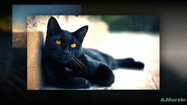 Alexander Karshkov - Piano Concerto. part 2