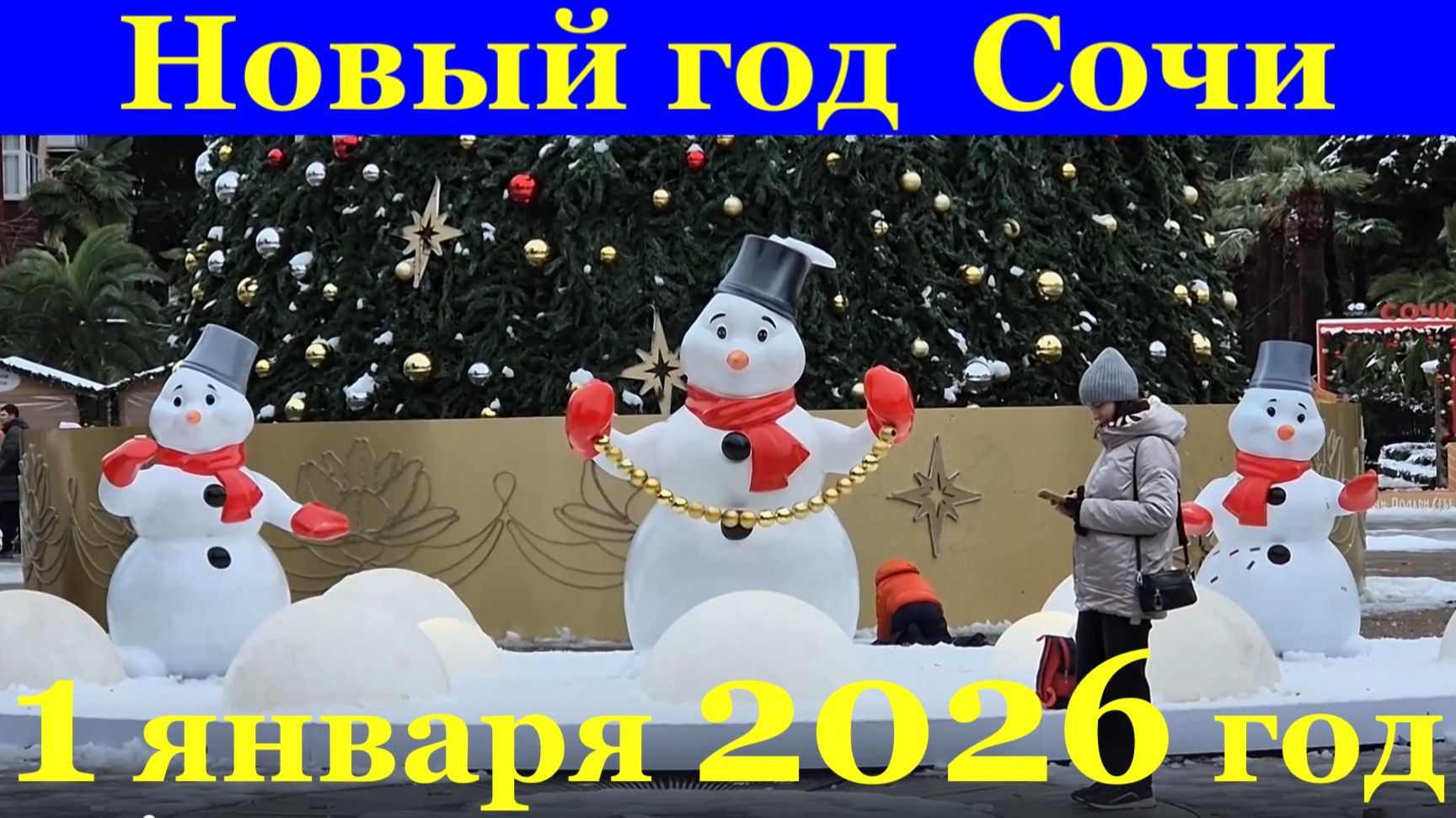 Песня Новый год Сочи Ёлки Рыбаки Утки Чайки Море Шторм Снег Ветер повалил деревья