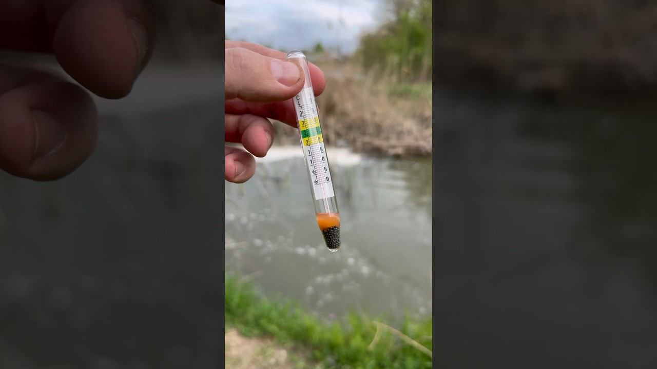 13.04.2024 температура воды в реке Понура.