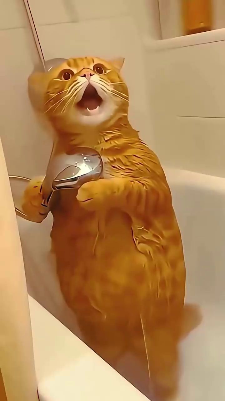 Что такое вредность