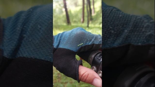 И пусть весь мир подождёт!!! Велопокатушка!