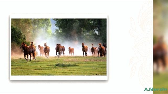 Alexander Karshkov - Exhale in Paradise