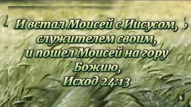 24 ГЛАВА КНИГИ ИСХОД