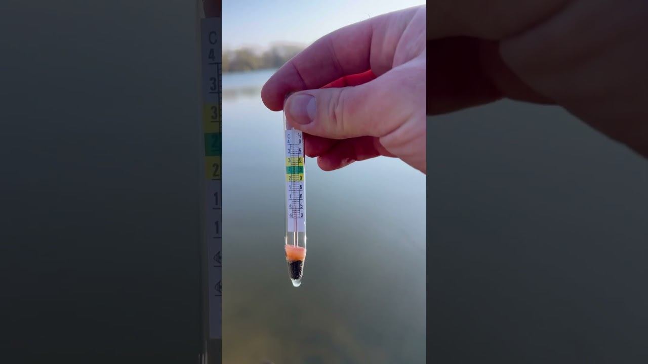 10.03.2024 температура воды в реке Понура.