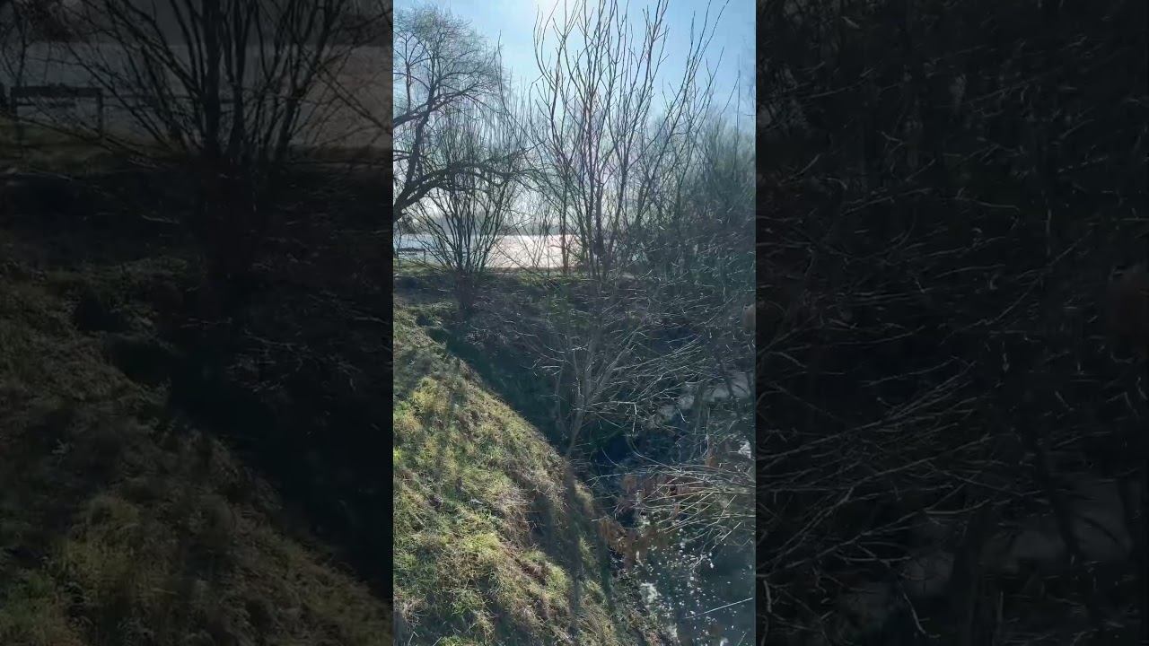 Обстановка на Понуре часть 12.