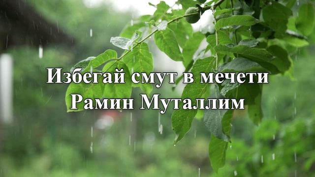 Избегай смут в мечети  Рамин Муталлим
