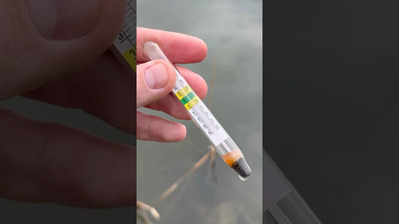 22.03.2025 температура воды в реке Понура.