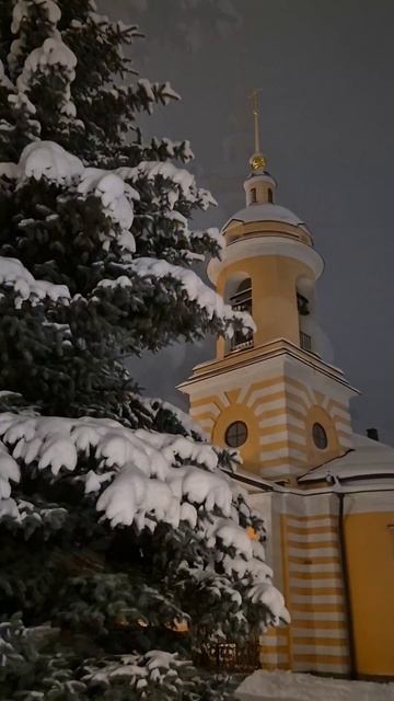 Пусть этот год станет для всех нас летом познания благости Божией!