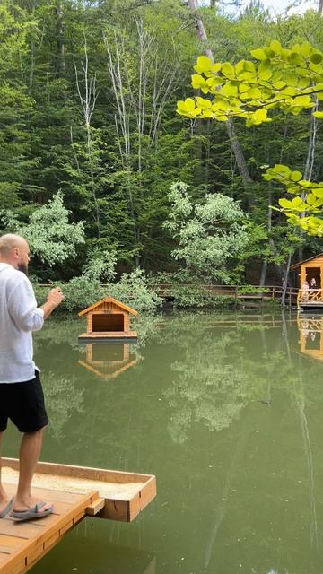 Озеро с черепахами по дороге на Ай-петри, Крым