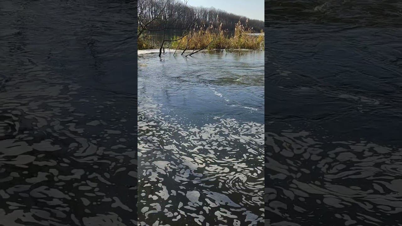 Обстановка на Понуре часть 4.