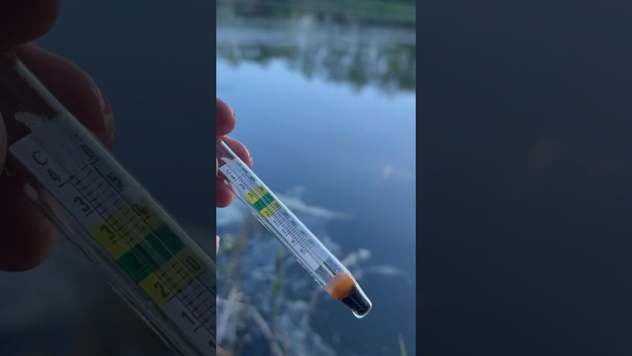 21.04.2024 температура воды в реке Понура.