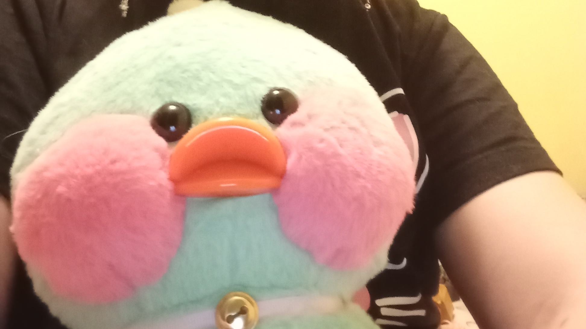 вечерний влог с уточками у меня новая уточка лала фан фан вечер с уточками