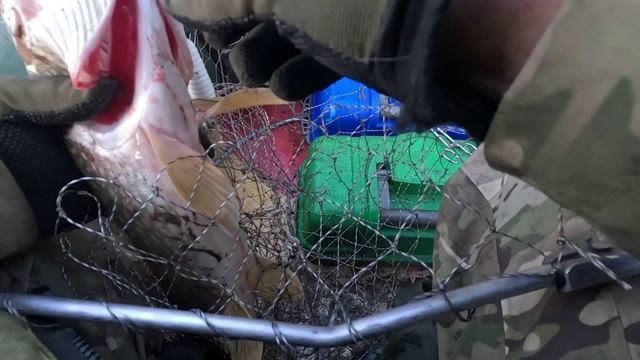 🔺️🎣ЖИТЬ БУДЕШ🎣🔺️fishing#туризм#природа#ловля#рыбалка#щука#ловлящуки#ночевка#Чулым#река#спиннинг