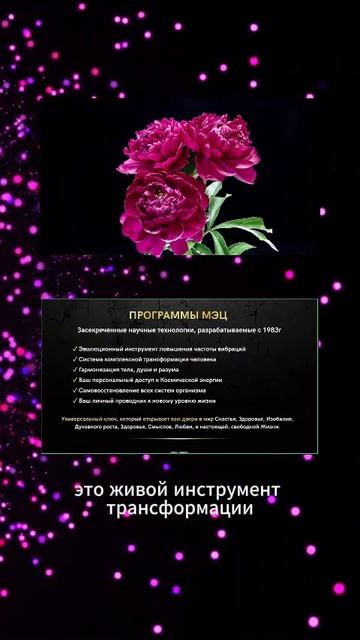 МЭЦ - что это?