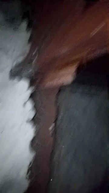 с новым годом!!!!