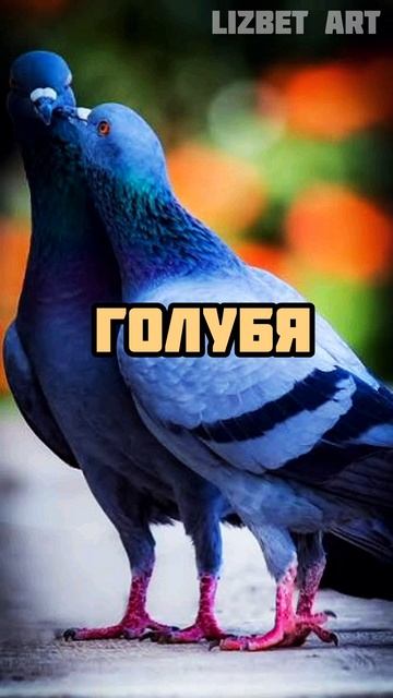 Рисую несуществующее животное🐈+🕊=❓(ч.117) #tiktok #shorts #art #gouach