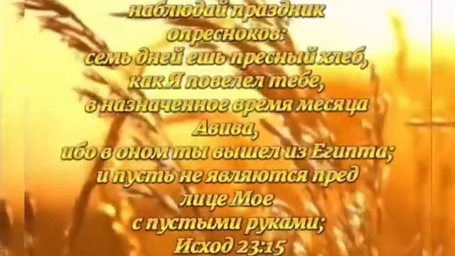 23 ГЛАВА КНИГИ  ИСХОД