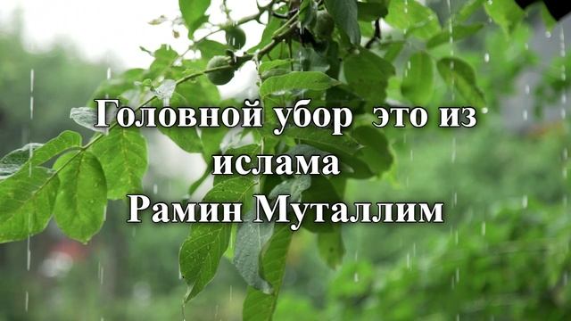 Головной убор – это из ислама  Рамин Муталлим