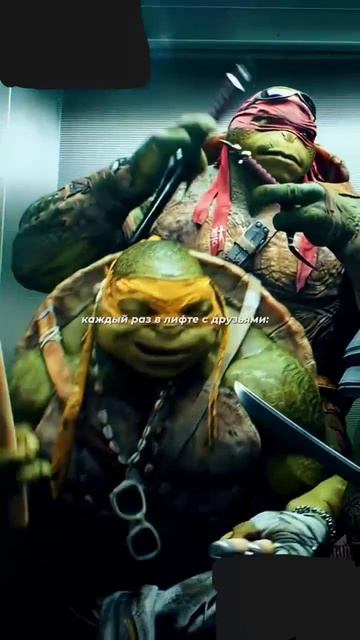 Наши братаны😂