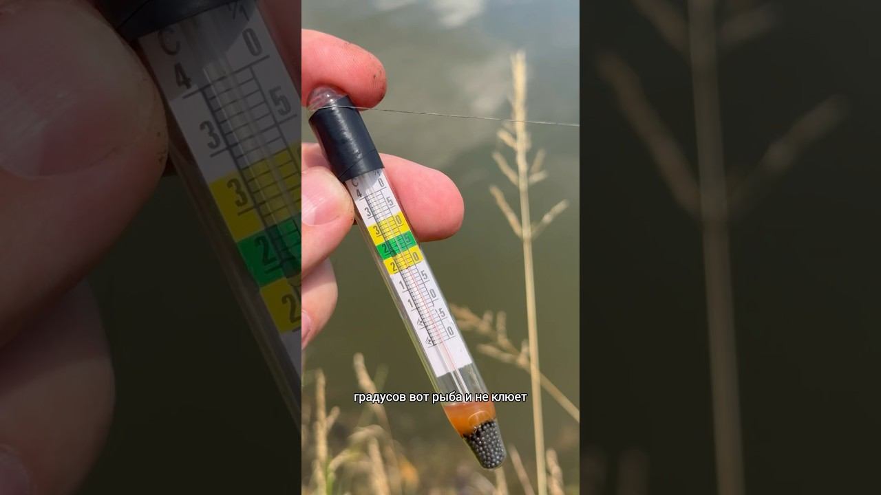 12.06.2024 температура воды в реке Понура.