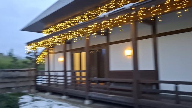 Уникальное редкое видео! Настоящий снег в Краснодаре! Японский сад и парк Галицкого ❄🌨☃🎄🎅