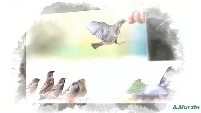 Alexander Karshkov - Атмосфера