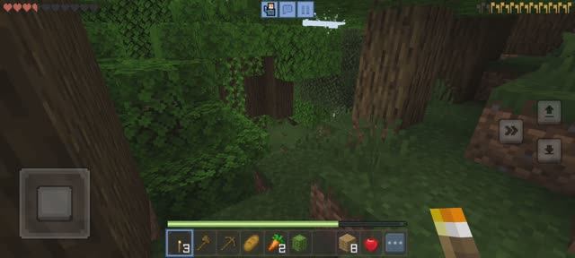 Выживание в лесу