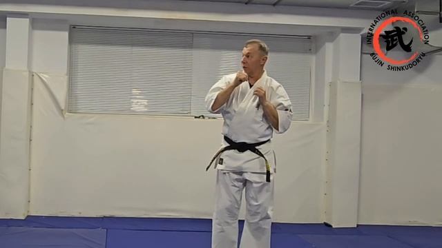 Йоко гери / Yoko Geri