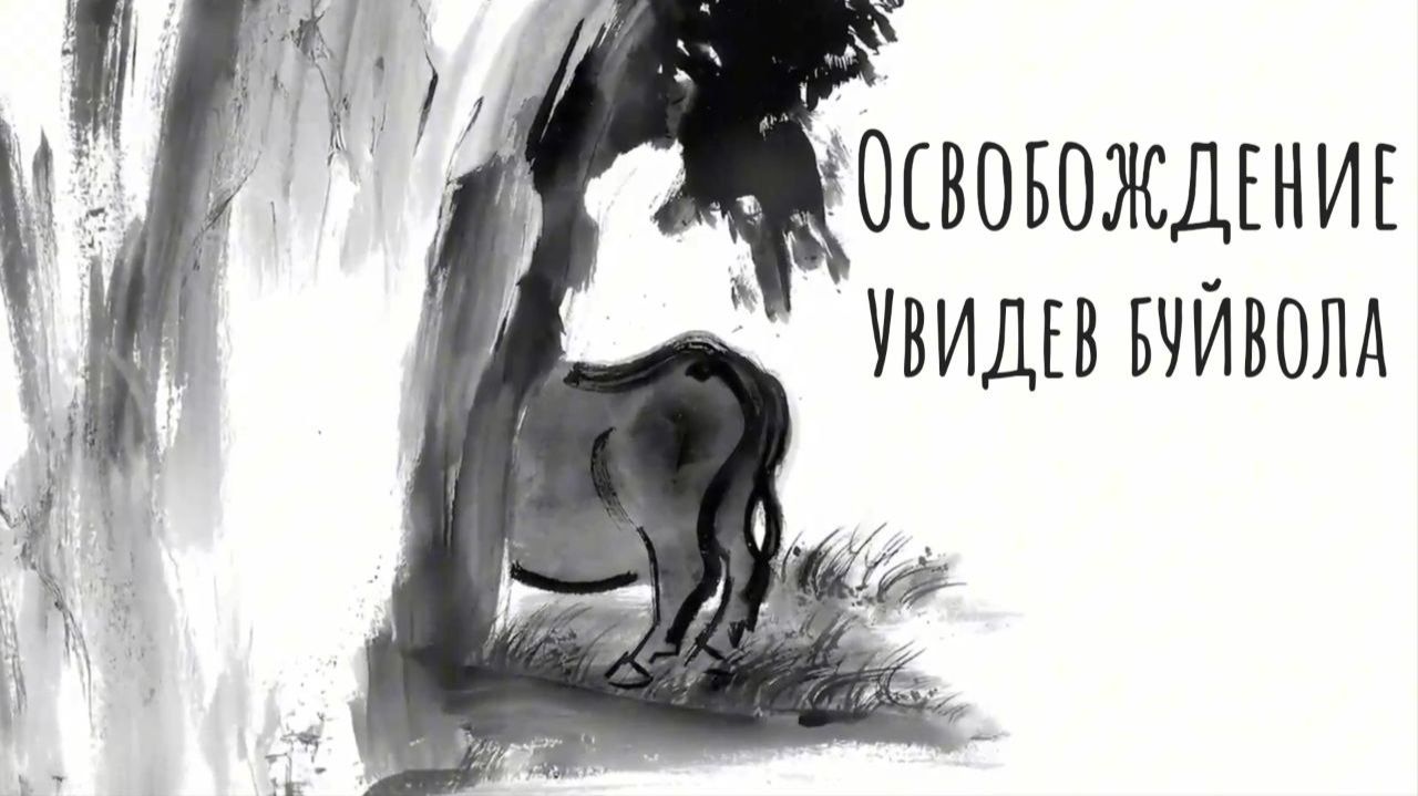 Освобождение. Увидев буйвола /\ ATW